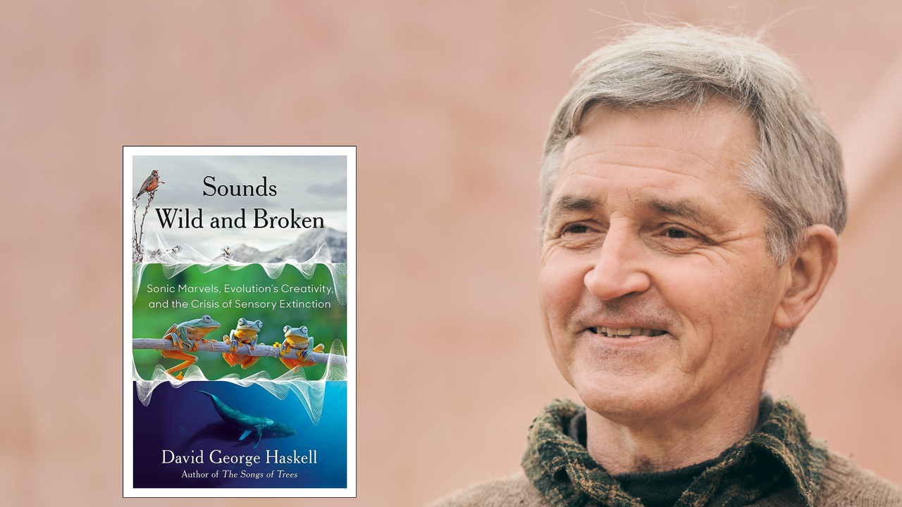 "SOUNDS WILD AND BROKEN: Sonic marvels, evolution's creativity and the ...